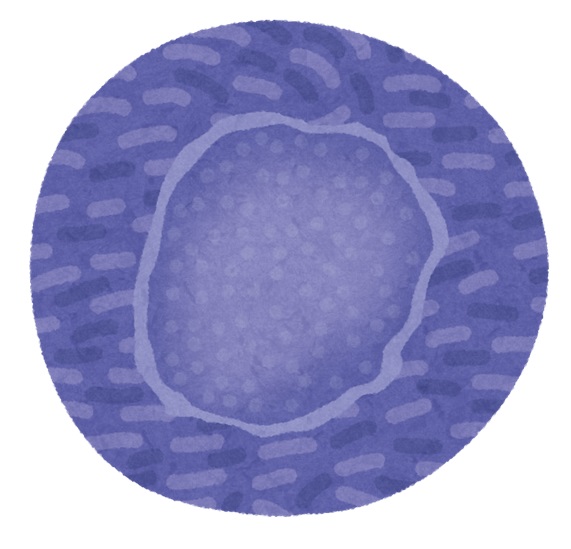 がん免疫_iPS-NKT#2 | がん免疫療法コラム | 6種複合免疫療法